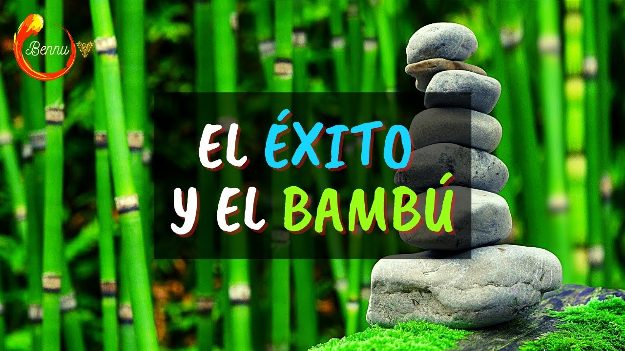 👉MIRA esto si crees que NO TIENES ÉXITO 💰🤑 en la VIDA (Reflexión del 🌱 ...