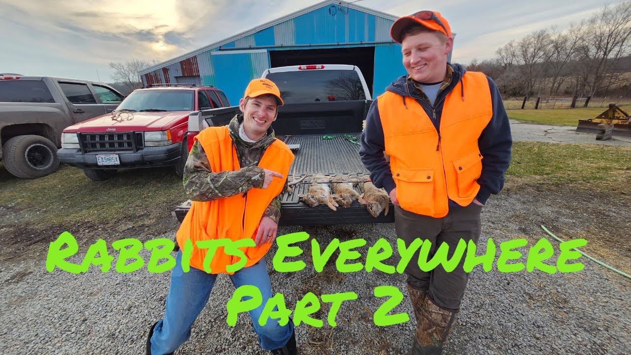 Rabbits Everywhere : part 2 : Great races and multiple of shots - YouTube