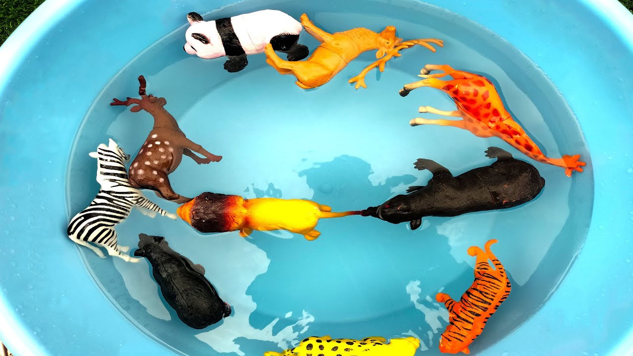 Zoo Animal Toys Getting Washed | Cleaning Toys Bear, Panda, Lion, Tiger ...