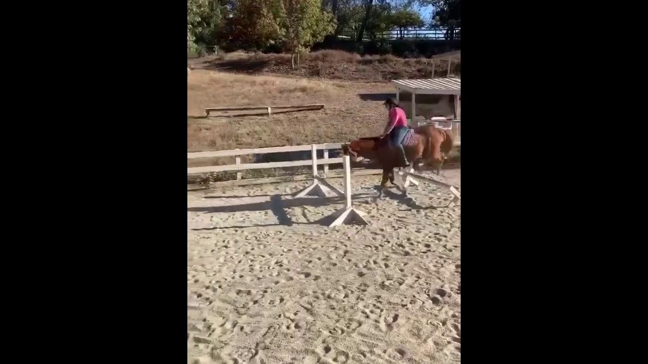 Extended YouTube Intro - YouTube