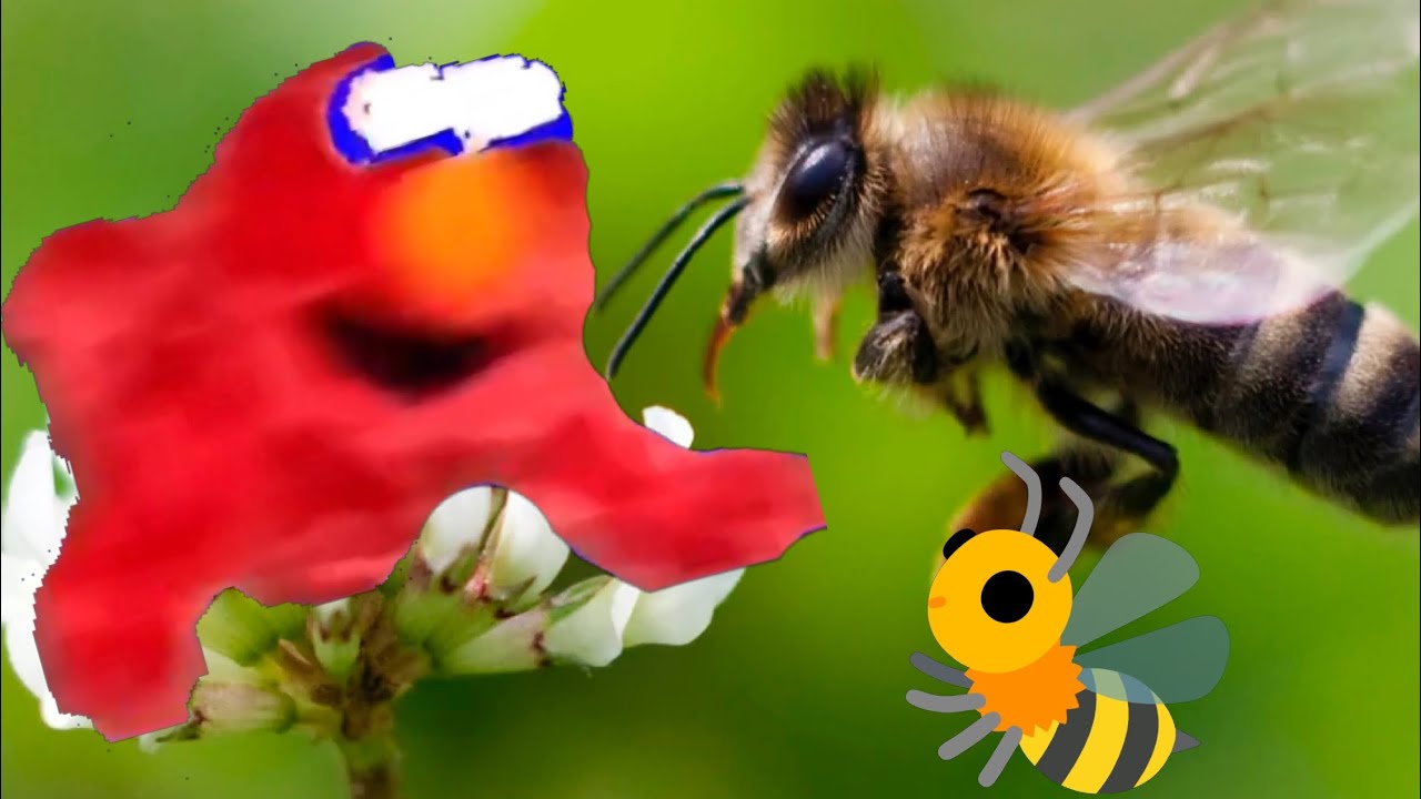 Elmo down bee e30 - YouTube