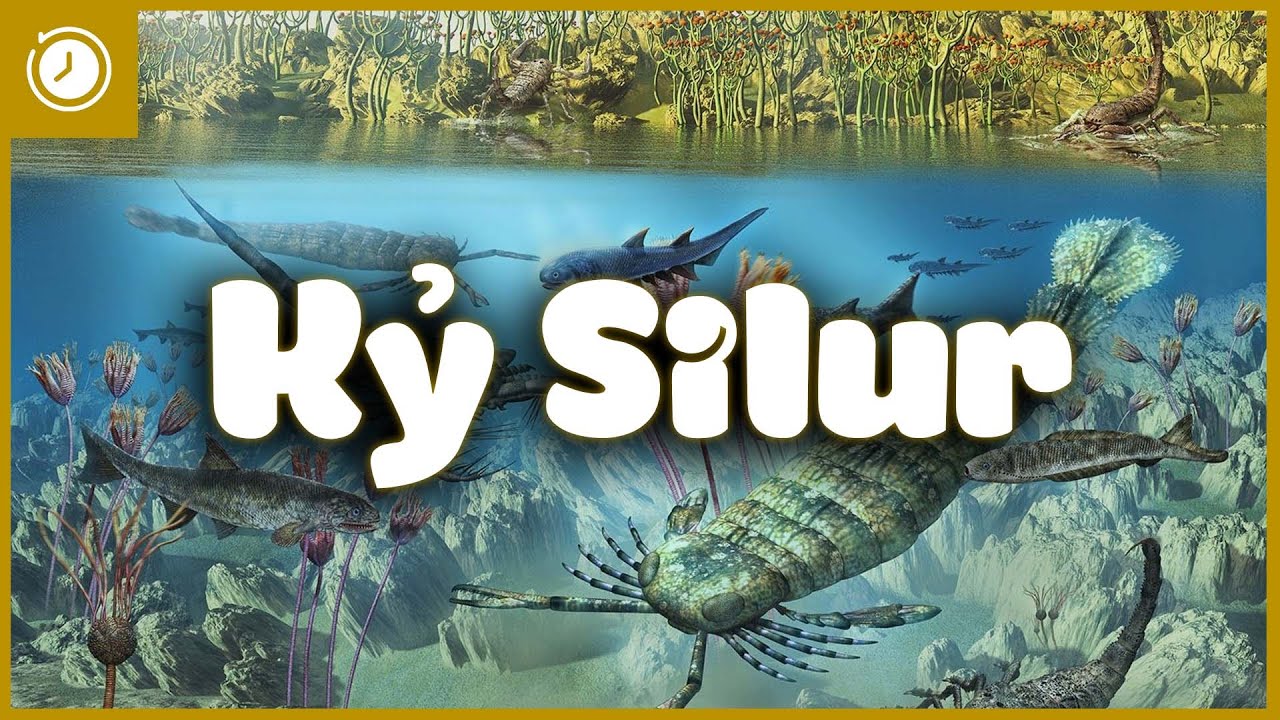 KỶ SILUR - LOÀI CÁ bắt đầu xuất hiện | MÁY THỜI GIAN - YouTube
