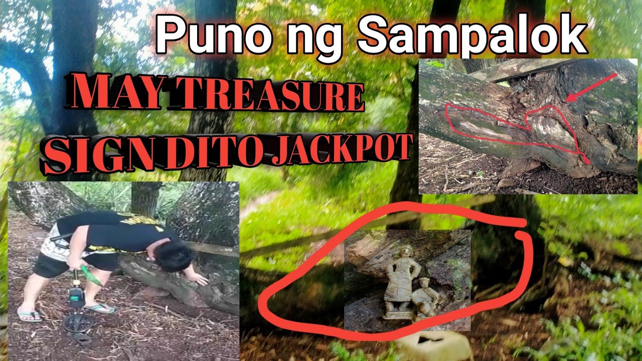 MAY TREASURE SIGN SA PUNO NG SAMPALOK OLD TREE - YouTube