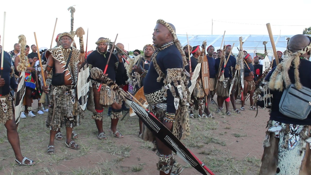 AMABUTHO KAMISUZULU KAZWELITHINI KABHEKUZULU: By Ntokozo Ndlovu - YouTube