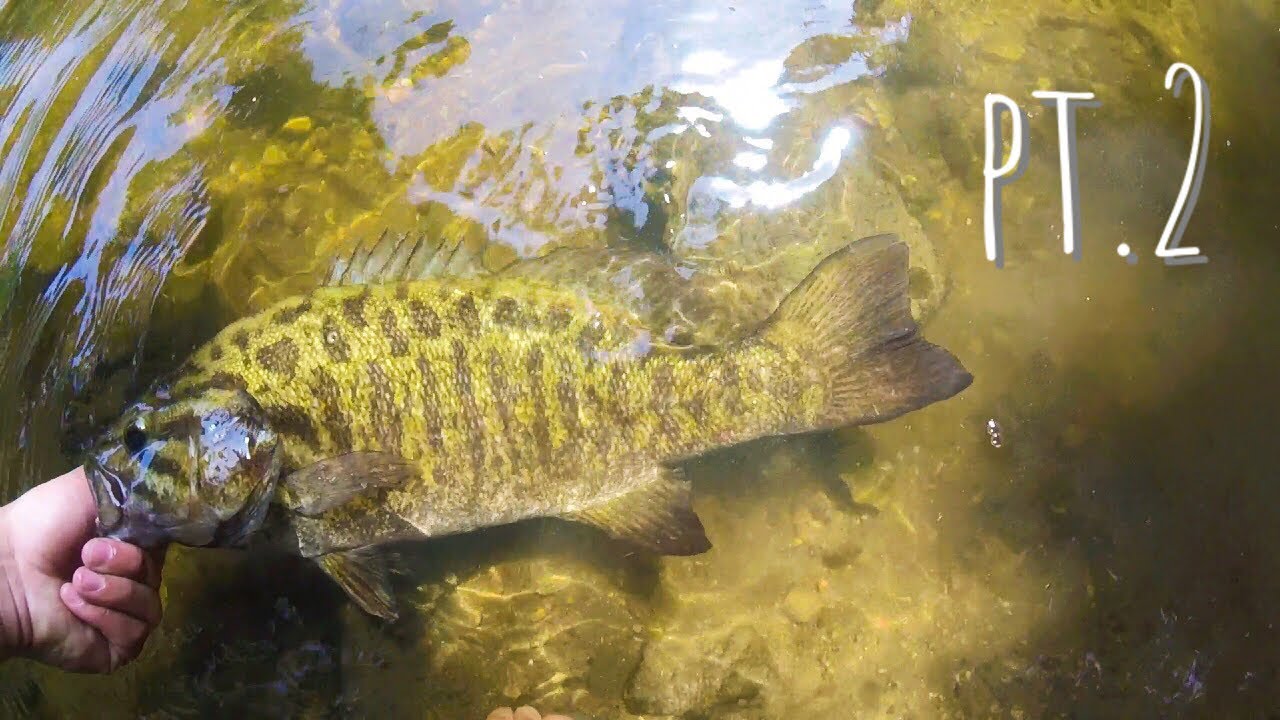 MONSTER 4lb Smallmouth Bass (PB Broken) - YouTube