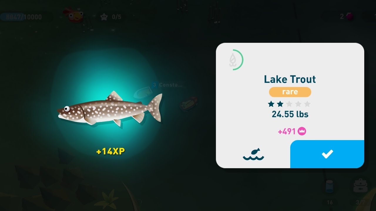 creatures of the deep - lake trout - YouTube