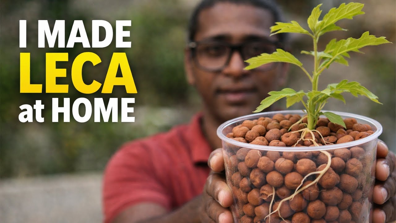 Watch This Before Buying LECA Clay Balls | DIY Reality Check - YouTube