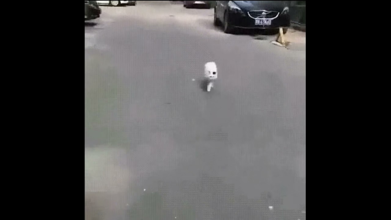 Lag cat walking *meme* - YouTube