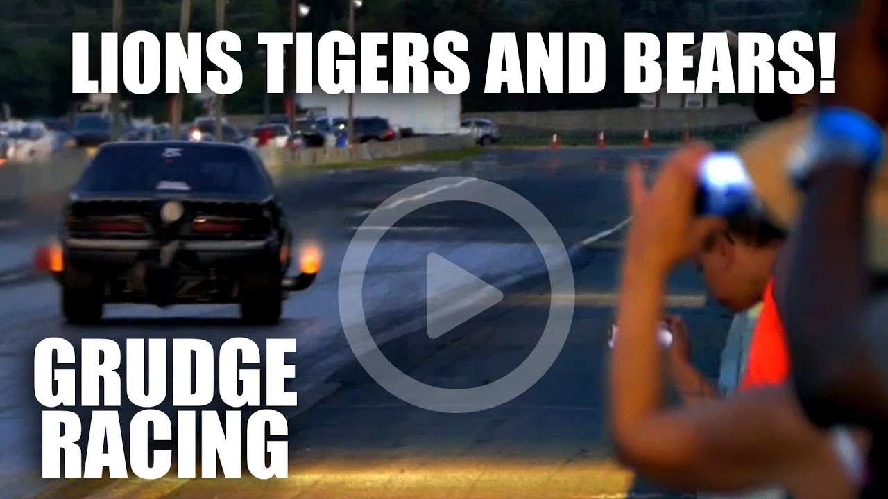 Grudge Racing "lions tigers and bears" Custom T’s Motorsports Park "Big ...