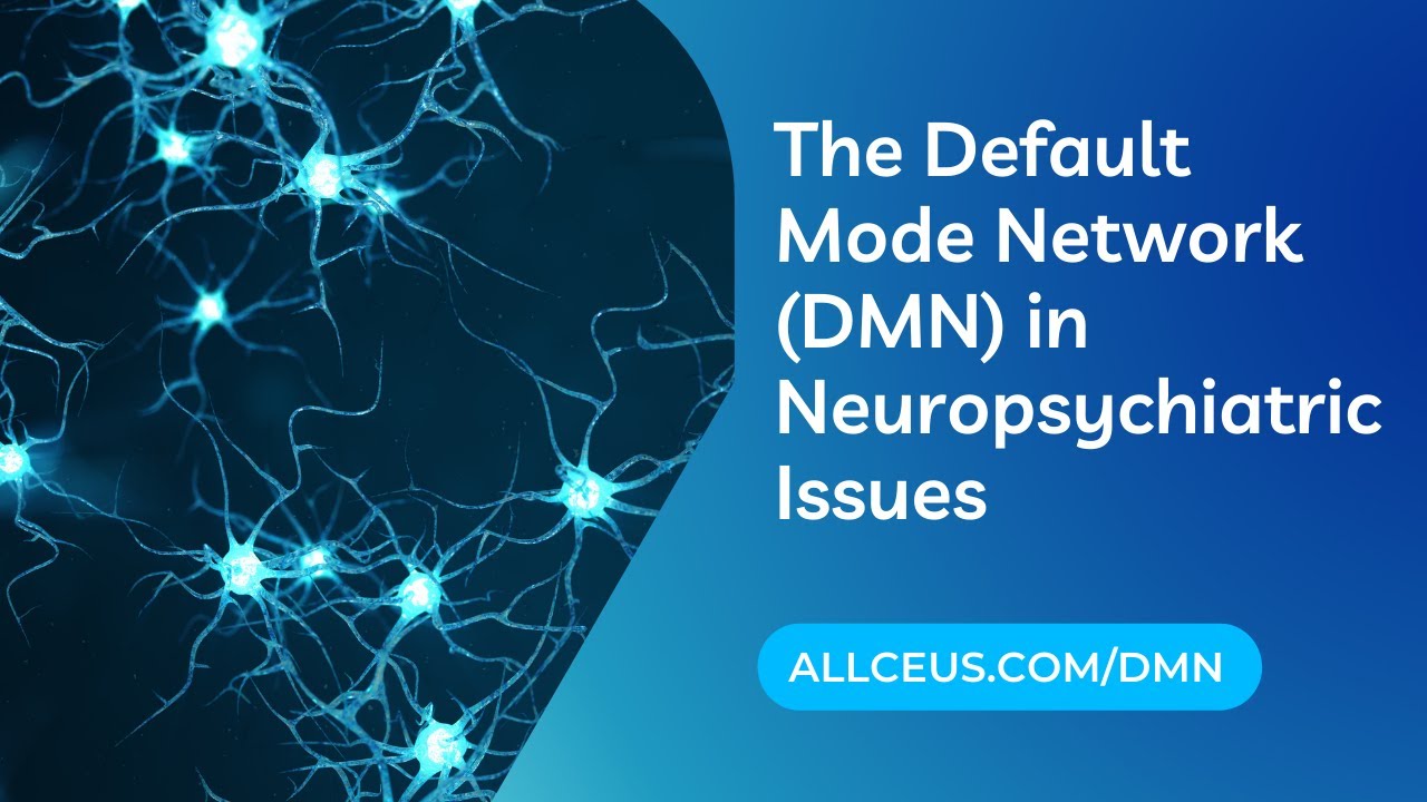 DMN and the Amygdala in Neuropsychiatric Issues - YouTube