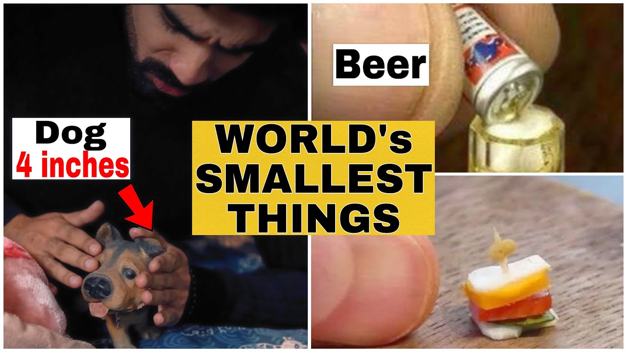 World’s SMALLEST Things 3.0 #smallest #shorts - YouTube
