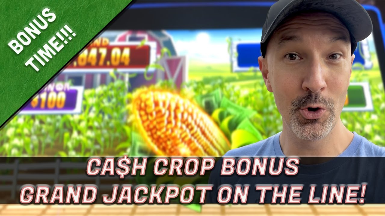 BONUS TIME: Lock it Link Riches Cash Crop Bonus with Grand on the Line ...