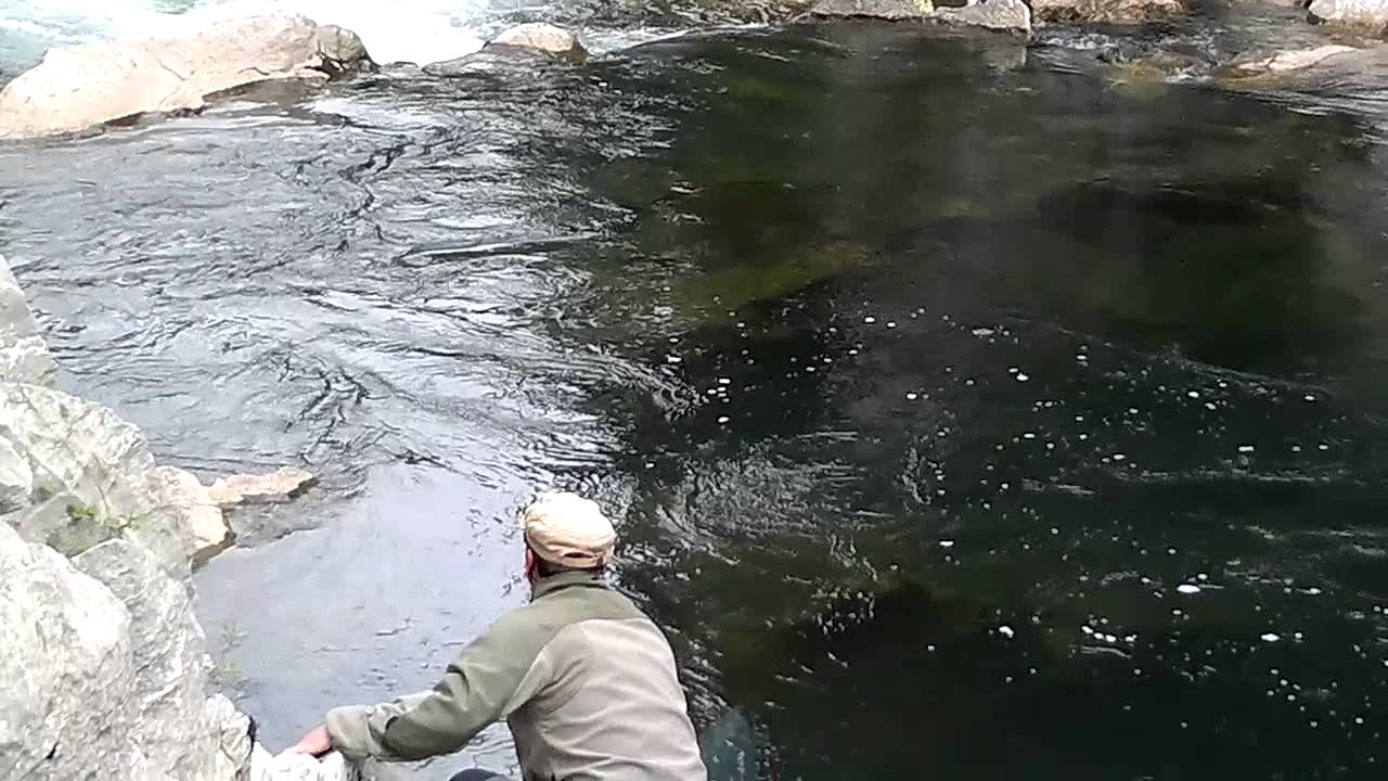 pesca de salmon en el rio pas - YouTube