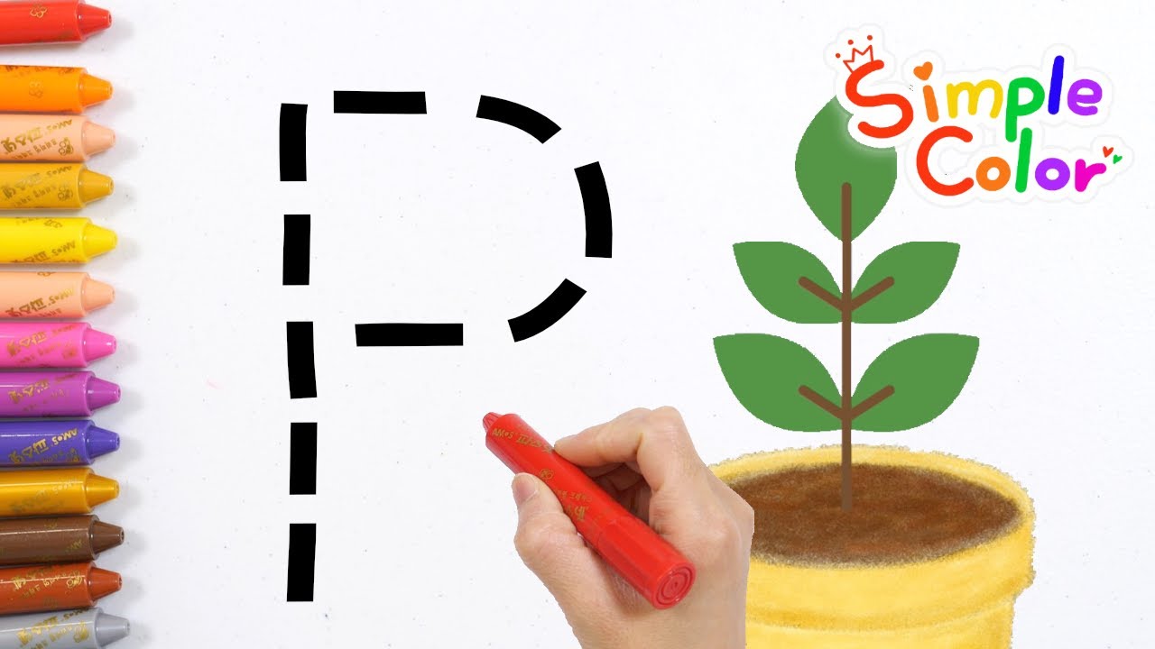 Learn the alphabet with plants that grow from seeds to flowers. | Learn ...