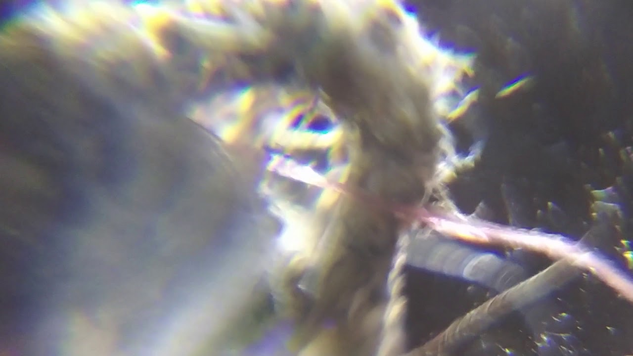 And it continues - YouTube