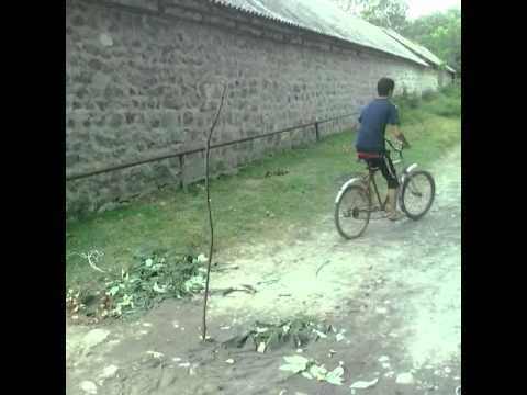 Sekili balasi