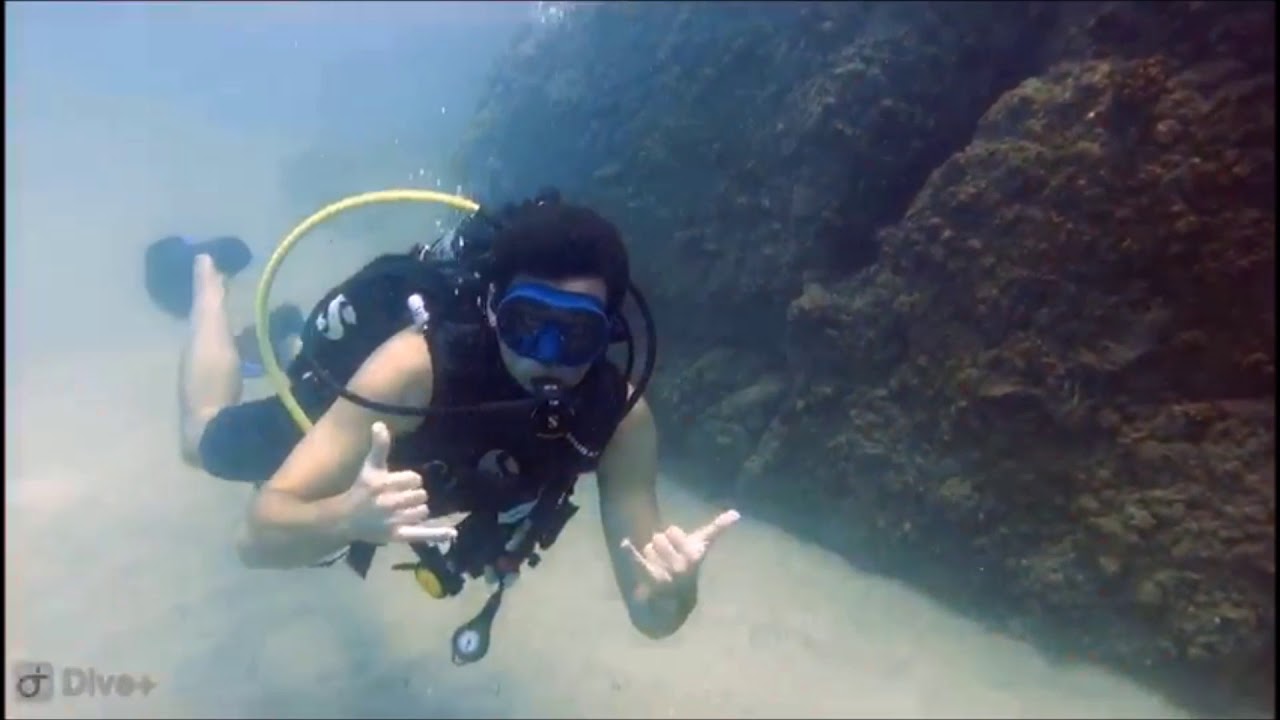 Scuba Diving at Snoopy Island | Dibba | Fujairah | Nemo Diving Center ...