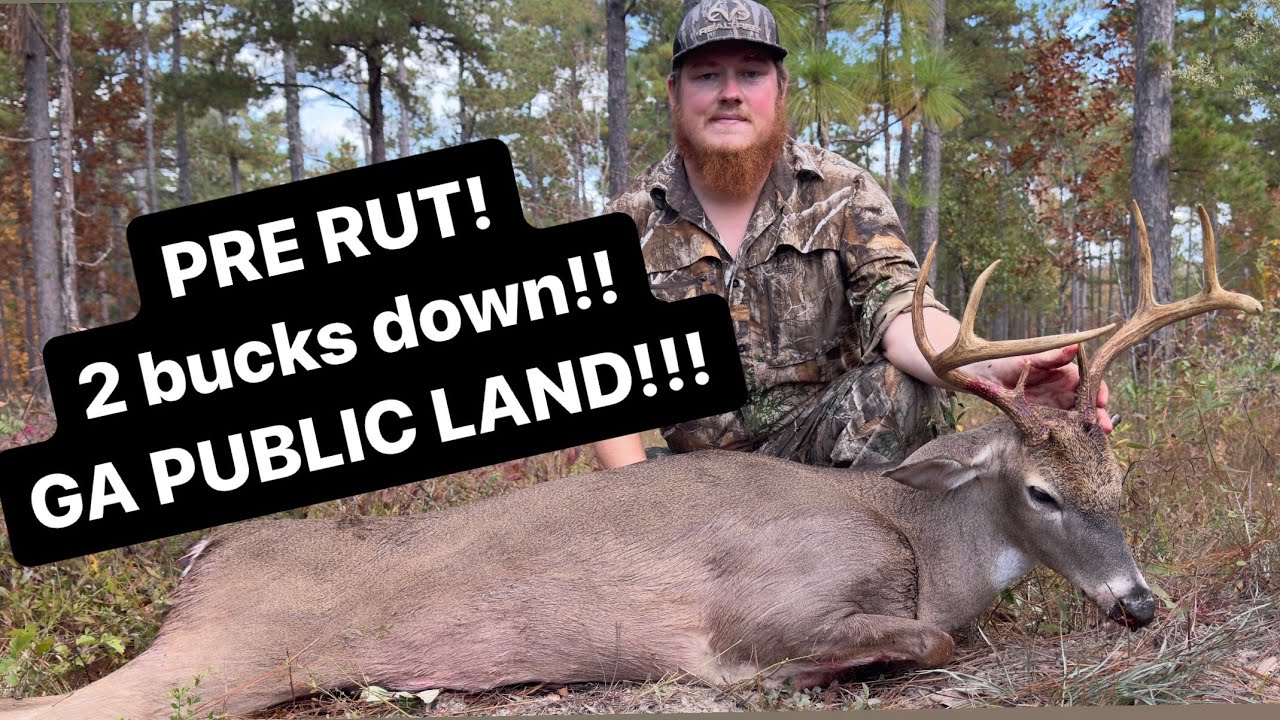 PRE RUT WEEKEND! Georgia PUBLIC land!!!! - YouTube