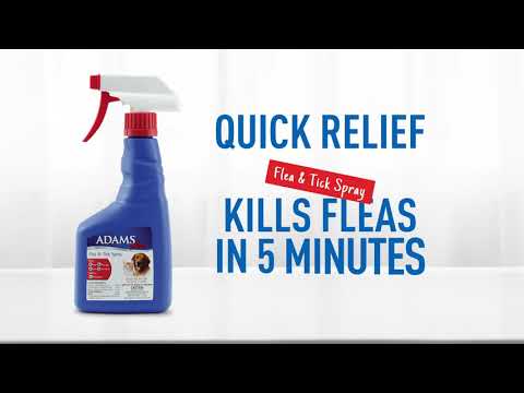 How Quickly Does Adams Flea Spray Kill Fleas
