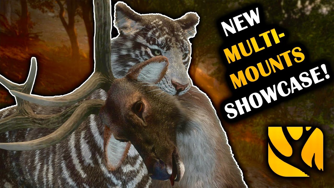 TAKING A LOOK AT ALL THE BRAND NEW SUNDARPATAN MULTI-MOUNTS! TIGERS ...