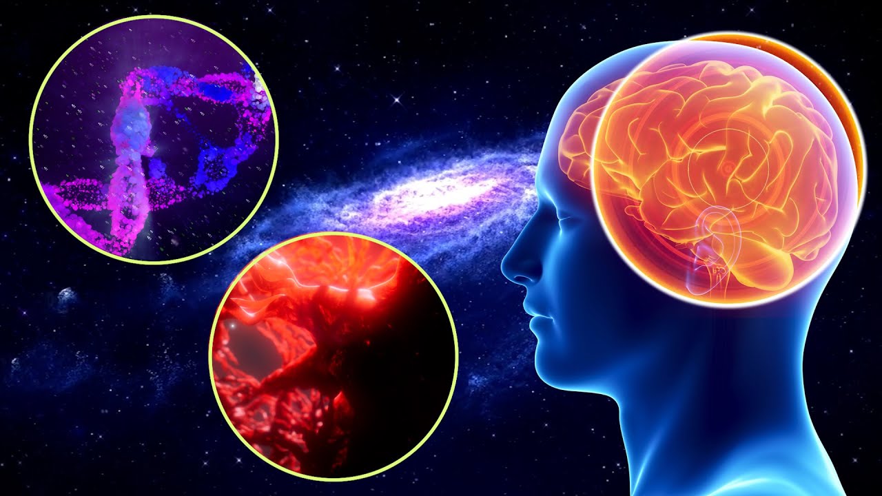 Brain Healing Music Brain Repair & Regeneration • Theta Brain Waves ...