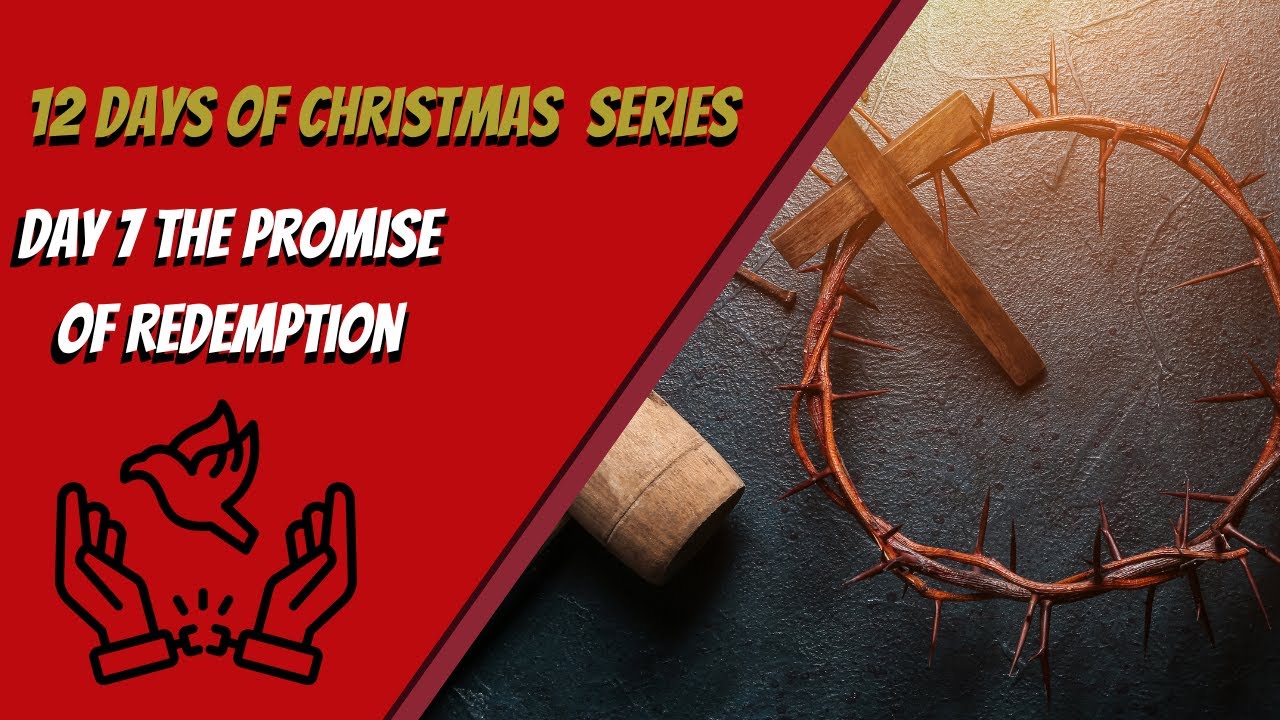 Day 7 the promise of redemption | 12 Days of Christmas - YouTube