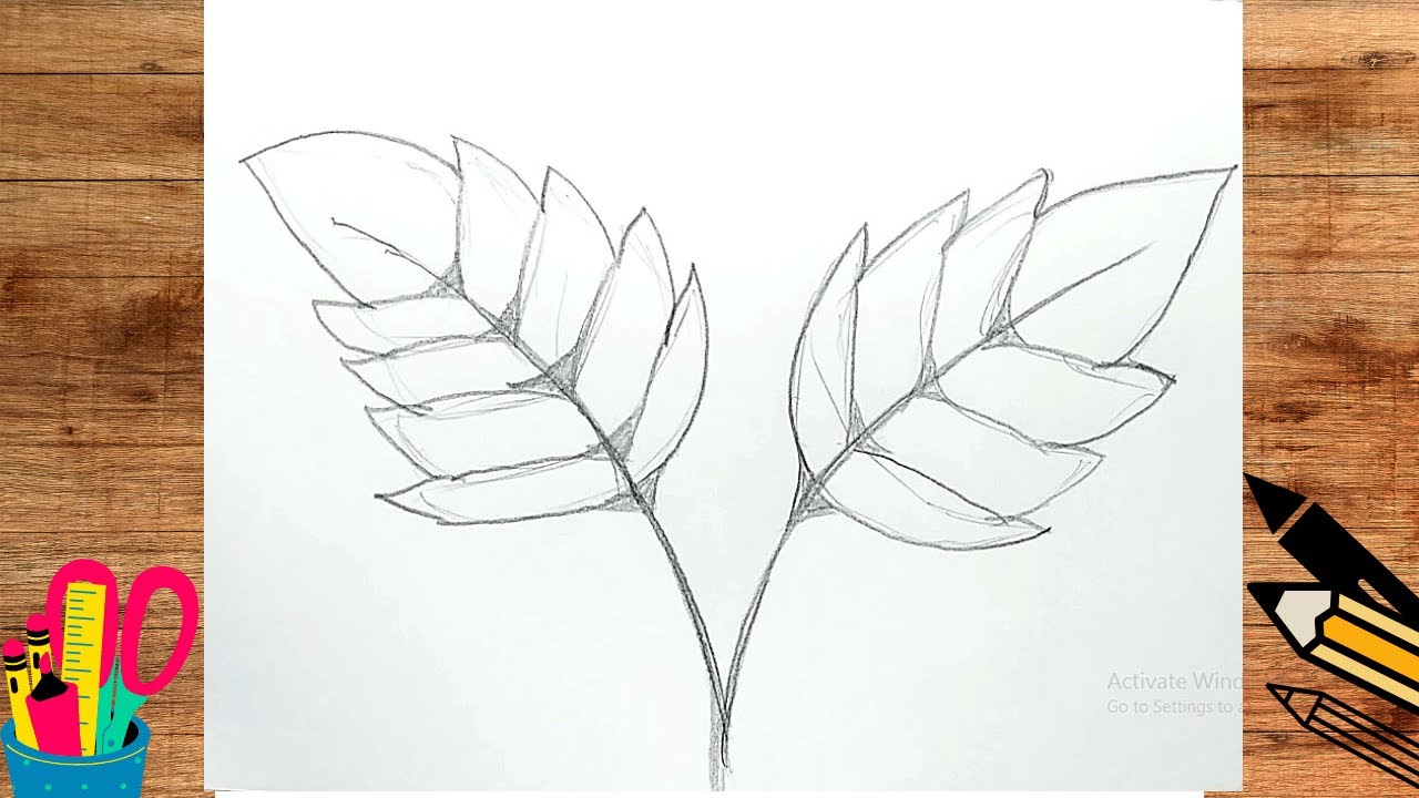 How To Draw A Leaf With Pencil - YouTube