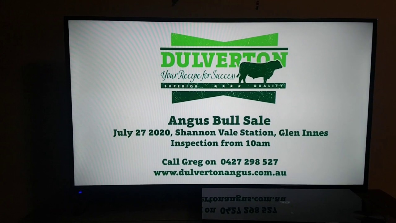 Angus Bull Sale commercial (2020) - YouTube