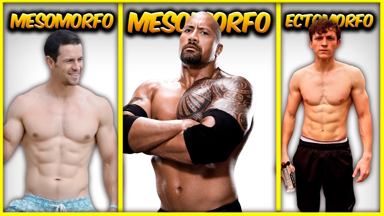 COMO ENTRENAR SEGUN TU TIPO DE CUERPO-Endomorfo, Mesomorfo,Ectomorfo ...