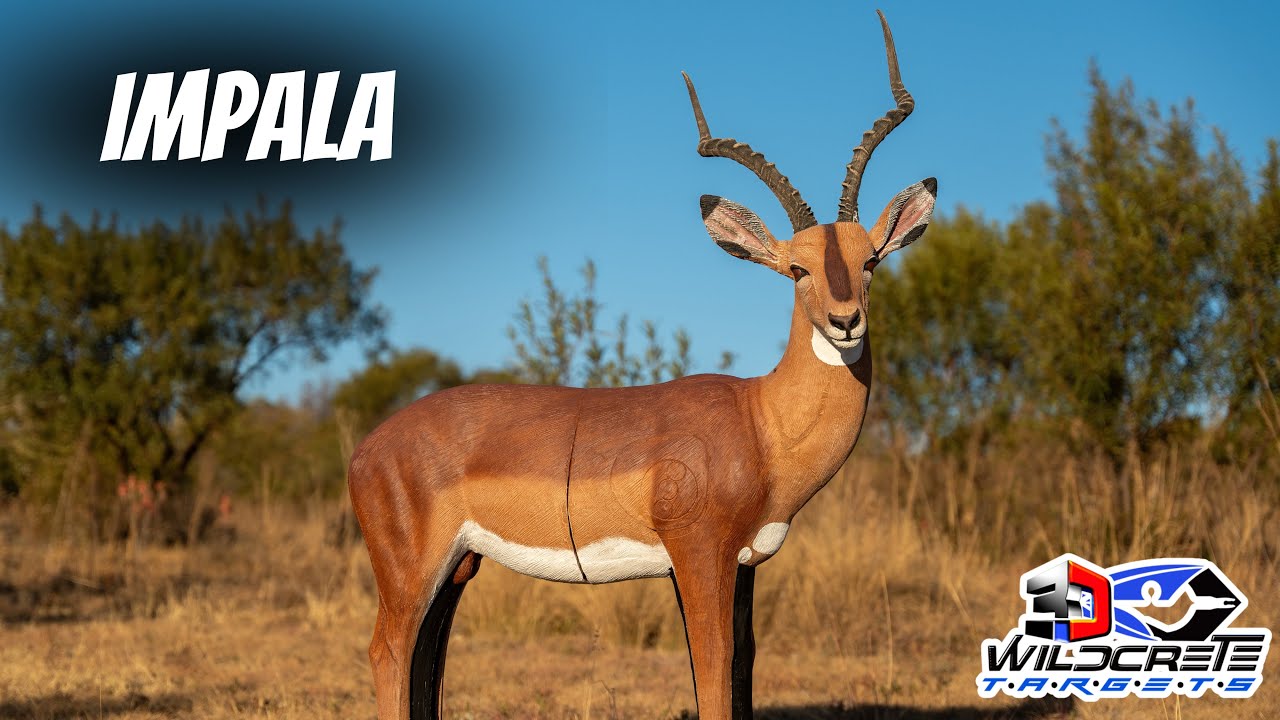 Impala - 3D Archery Target - YouTube