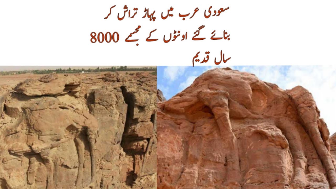 8000-year-old camel sculptures carved out of mountains in Saudi Arabia ...