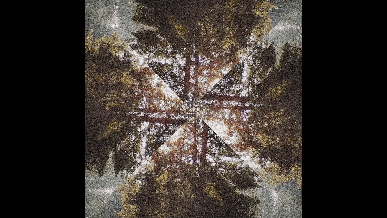 Vedritunes / Delta Swamp Music - FWD - YouTube