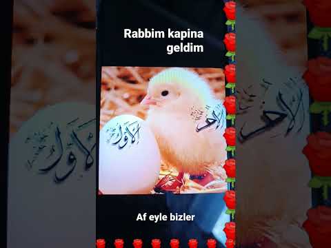güzel dini videolar#beğeni #keşfet #dini #video