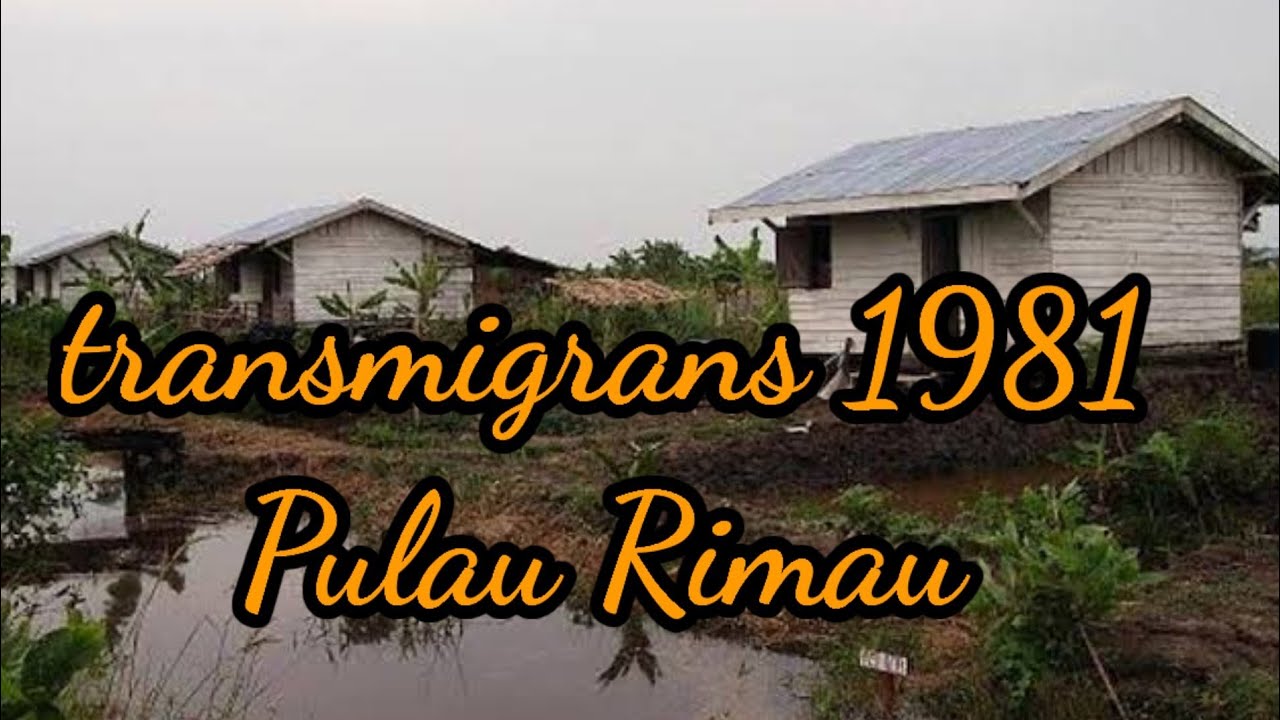 Pulau Rimau yang lampau dan terkini - YouTube