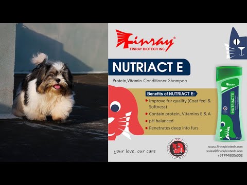 Protein, Vitamin Conditioner Shampoo : NUTRIACT E | Best For Pet Healthcare | Finray Biotech Inc ...