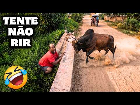 TENTE NÃO RIR - vídeos engraçados ( MAIO 2026 ) 😂 #2