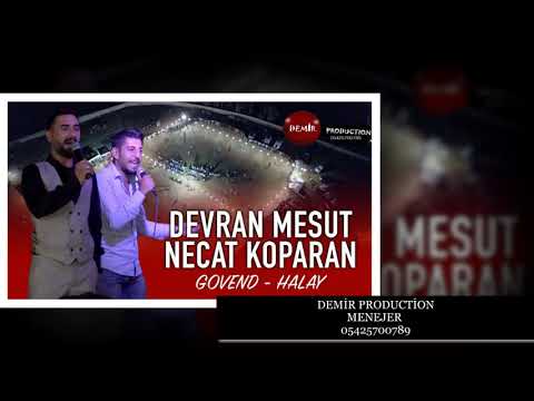 DEVRAN MESUT : DELİLO 2020