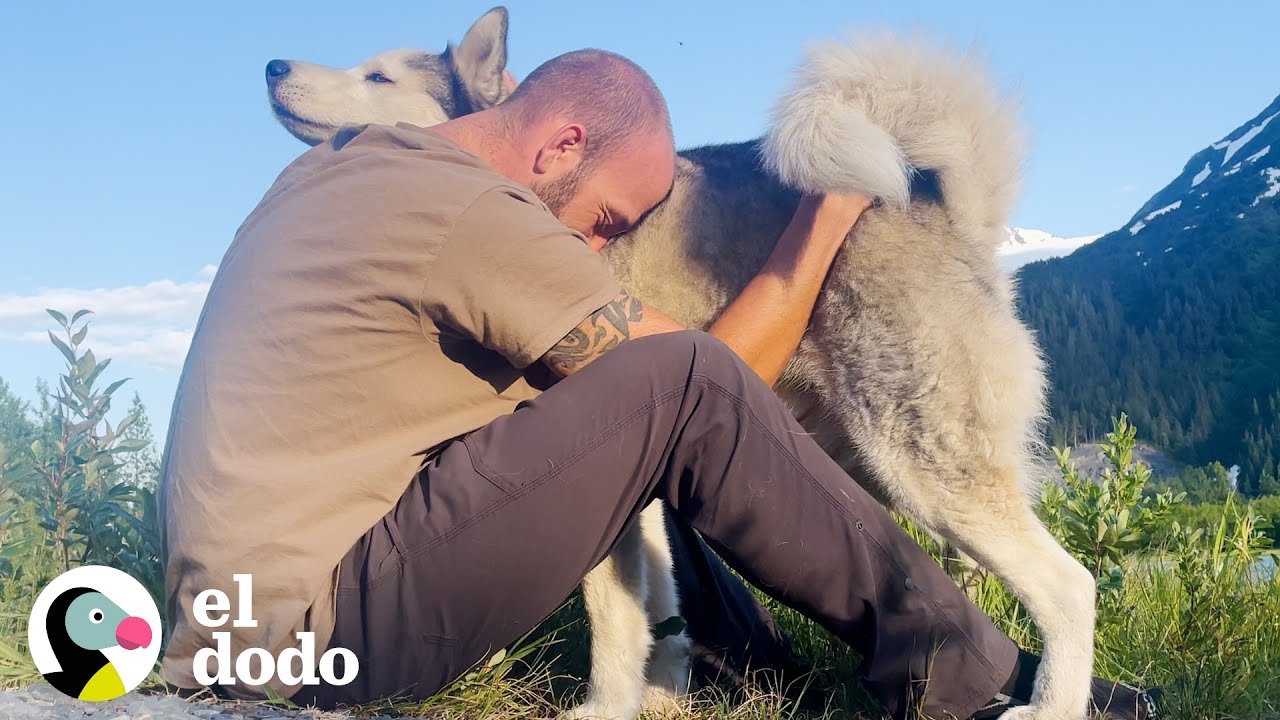 Perro monta en la motocicleta de su papás por los 50 estados