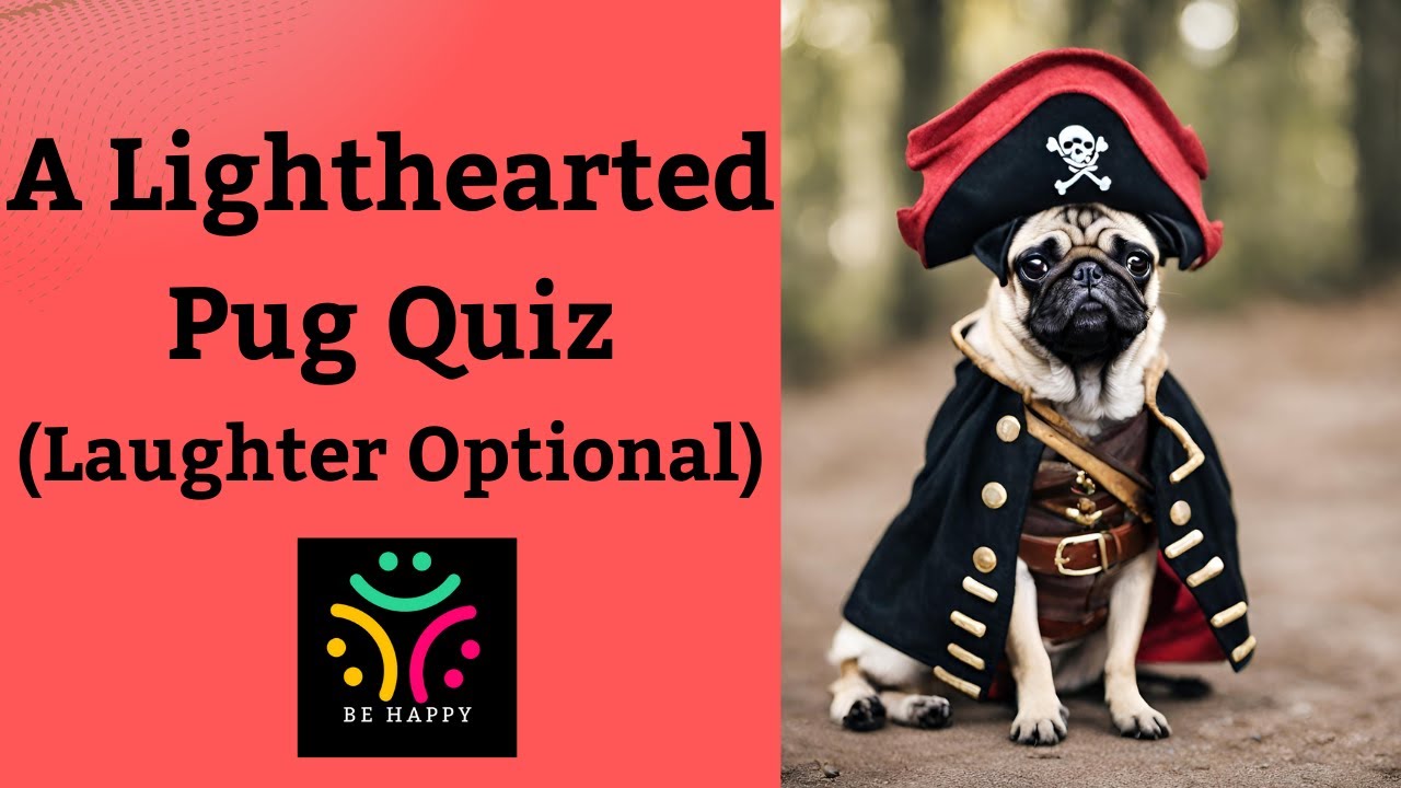 A Lighthearted Pug Quiz (Laughter Optional) - YouTube
