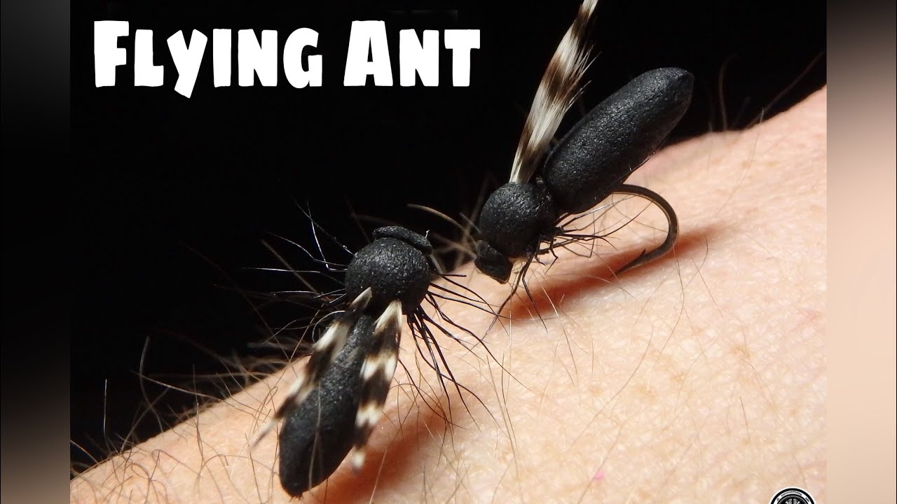 fly tying FOAM FLYING ANT HORMIGA DE ALA por Jorge G - YouTube