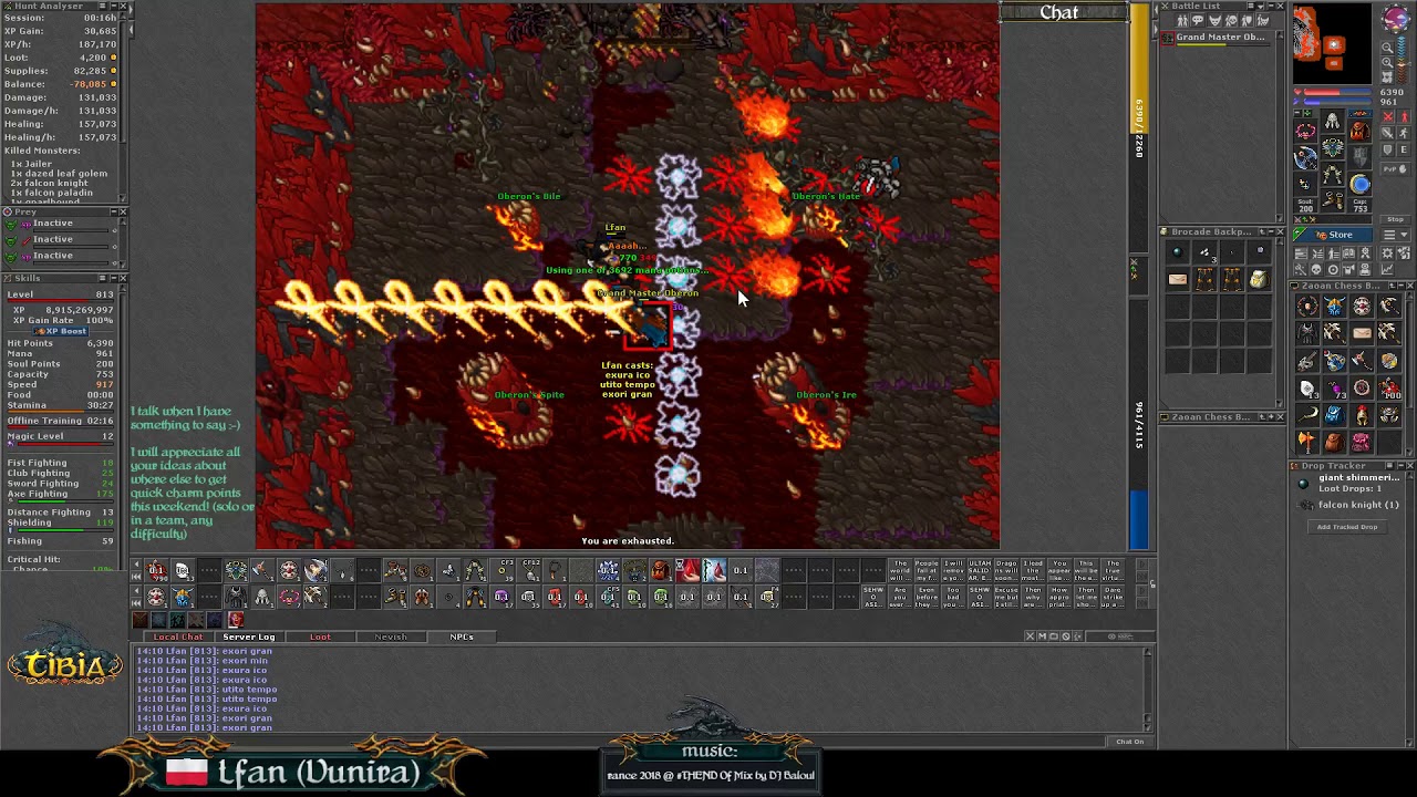 Tibia - Lfan 813 EK new boss Oberon solo (falcon loot!) - YouTube