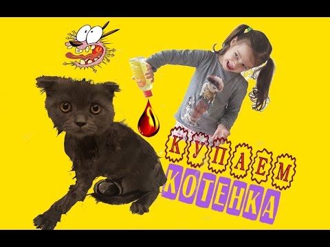 ВЛОГ➤Купание нашего питомца Марсика,как мыть кота Первое купание,ВИДЕО ДЛЯ ДЕТЕЙ.The first bathing
