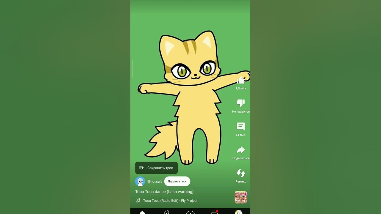 коты Music Love Song Dance Tocatoca Rotonmusic Party Flyproject Youtube