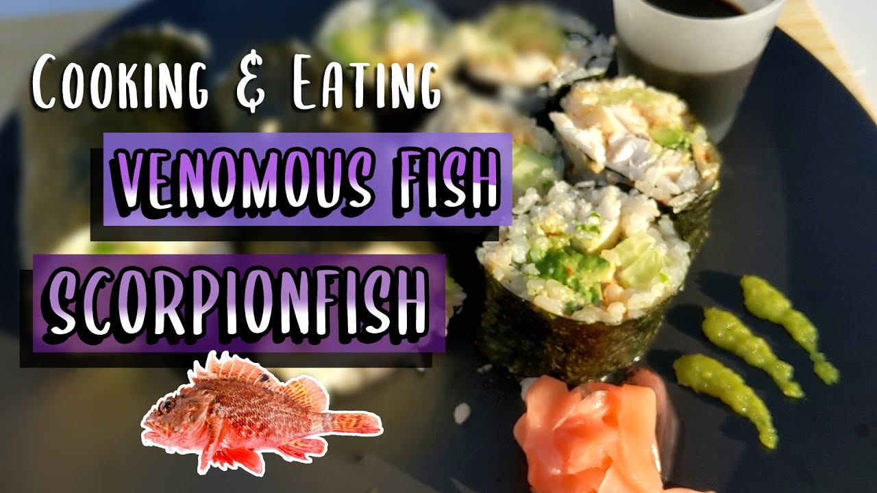 Cooking and Eating VENOMOUS FISH || Scorpion fish sushi rolls - YouTube