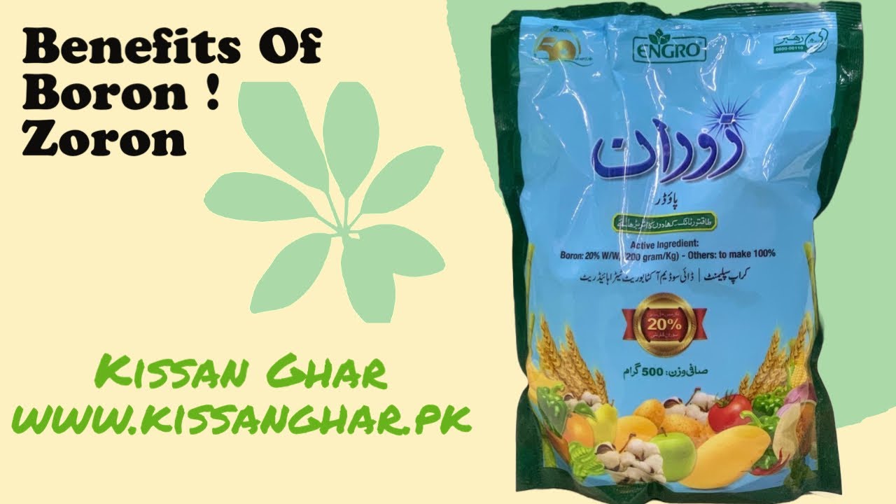 Deficiency of boron | benefits of boron | Engro Zoron | Kissan Ghar ...