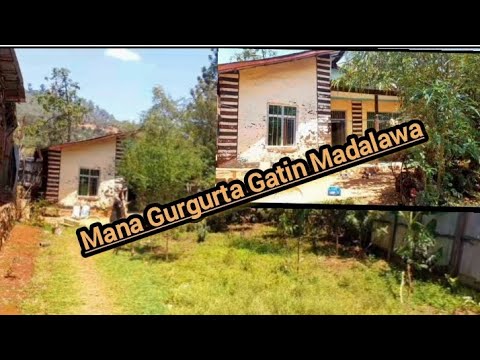 Mana Gurgurta 2 Magala Jimma irra Namoonni Bitachuu Barbaddan ...