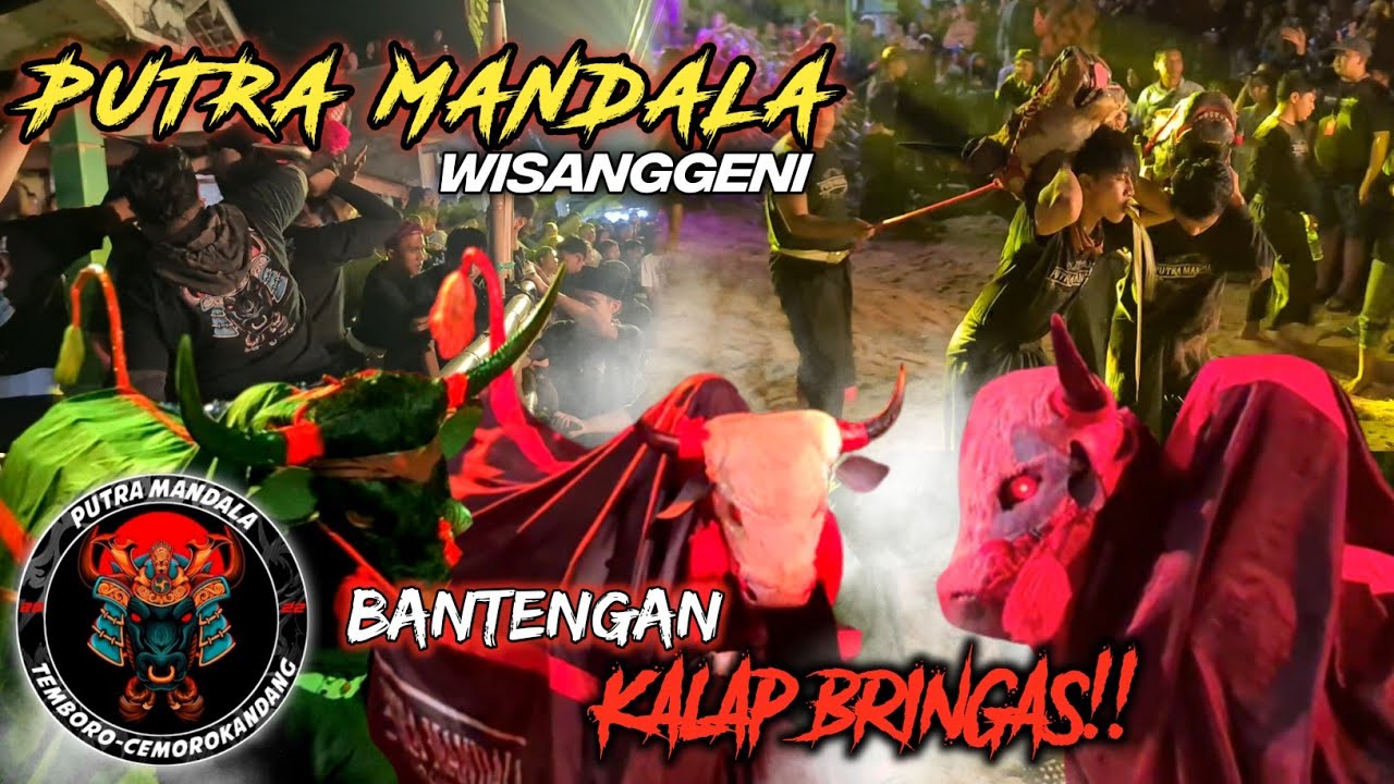 PUTRA MANDALA wisanggeni || tak tahan suitan paling bar bar! Putra ...
