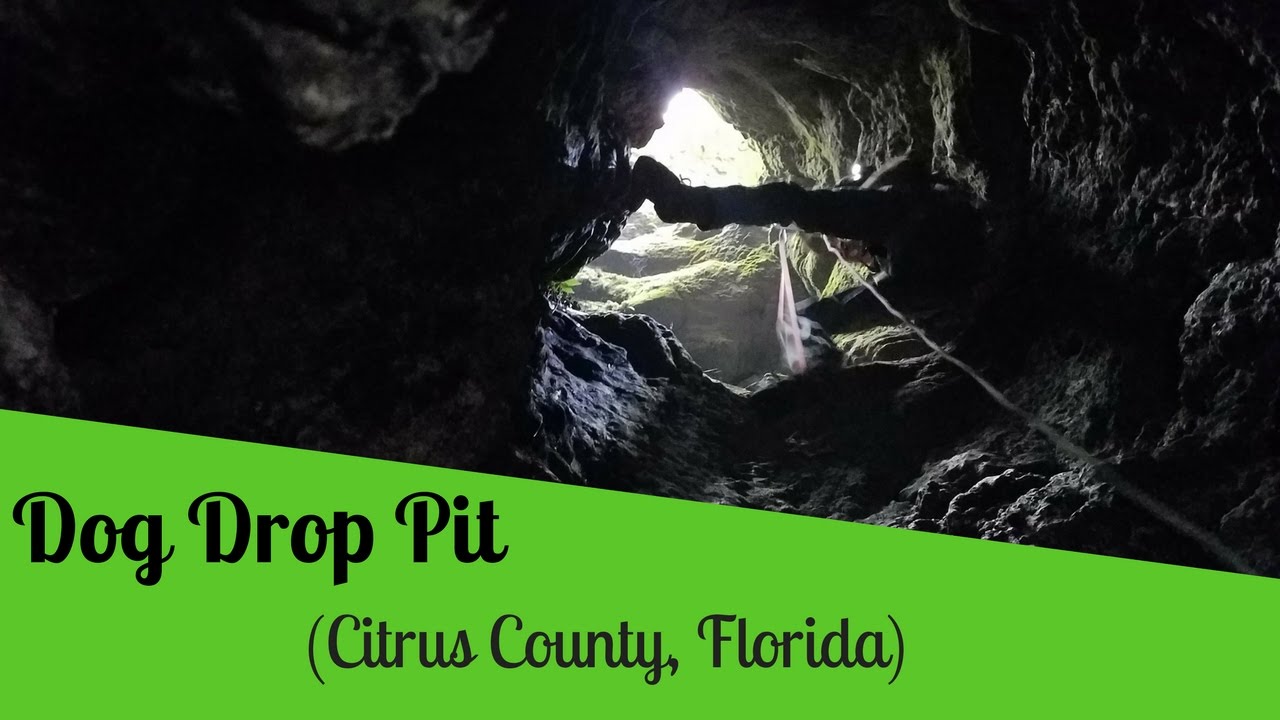 Dog Drop Pit, Citrus County, Florida - YouTube