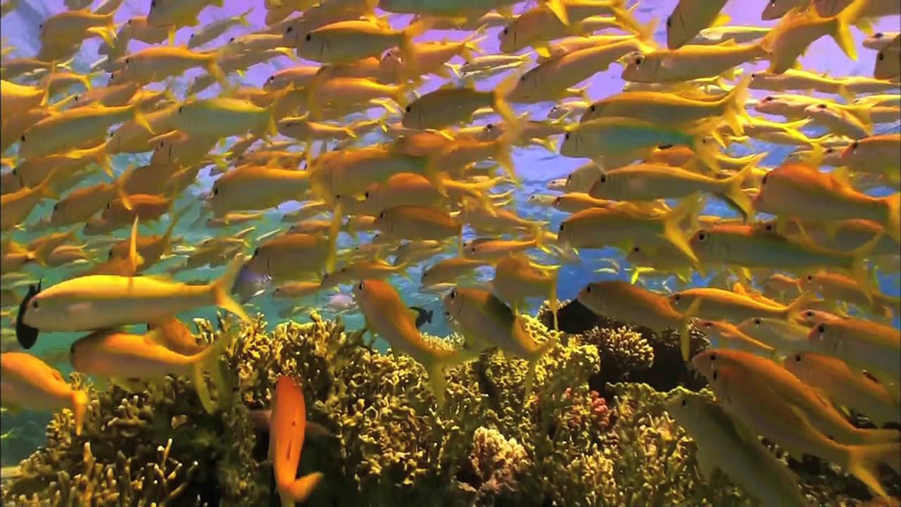 Classical Rewind 2 (My Music) - YouTube