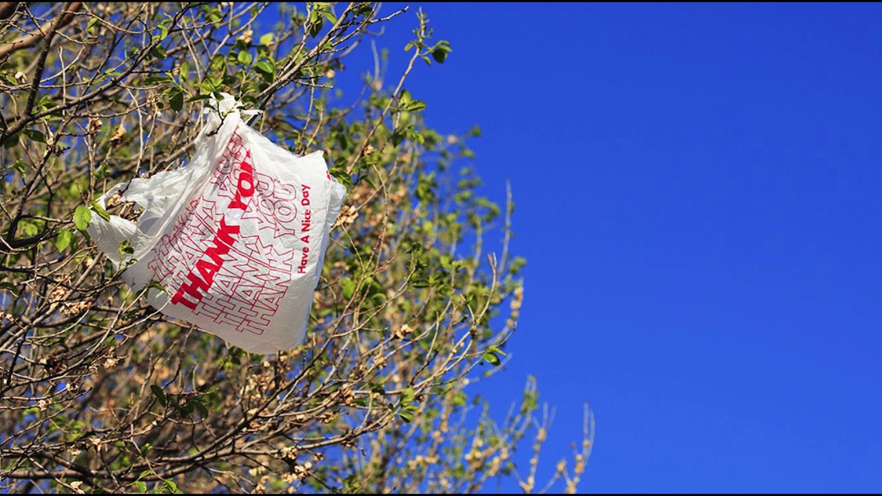 Plastic Bag In The Wind